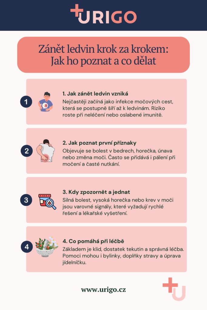 Jak poznat zánět ledvin: Návod krok za krokem a účinná léčba